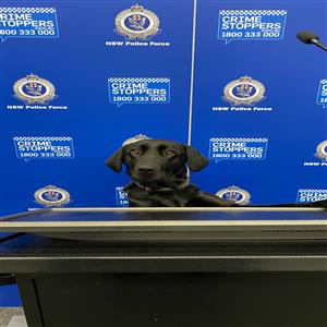 NSW Police Legacy - Emma Capell